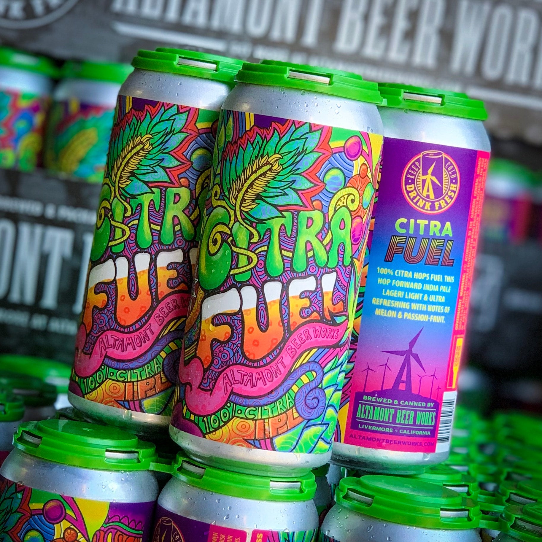Citra Fuel IPL 4-Pack | Altamont Beer Works