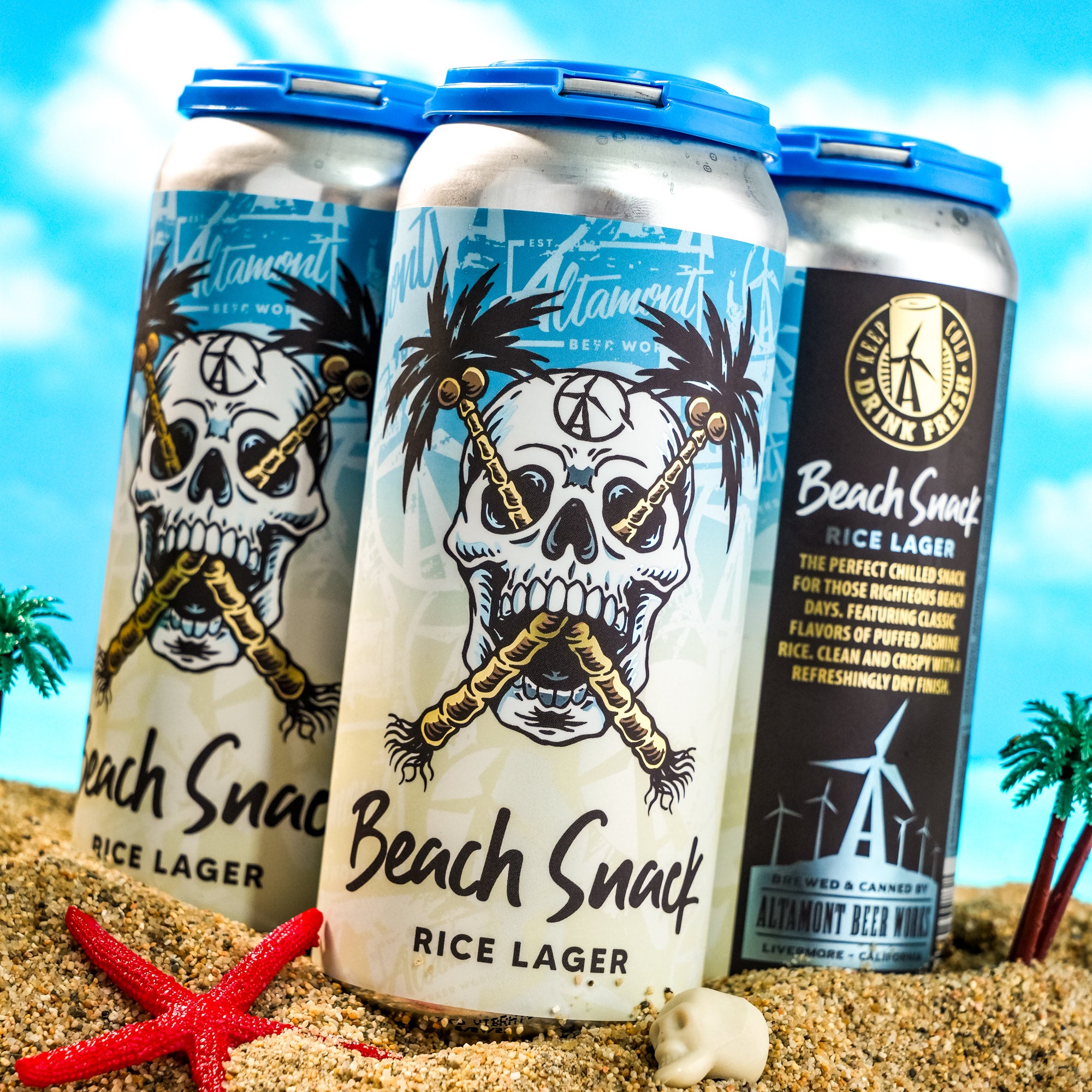 Beach Snack 4-Pack | Altamont Beer Works